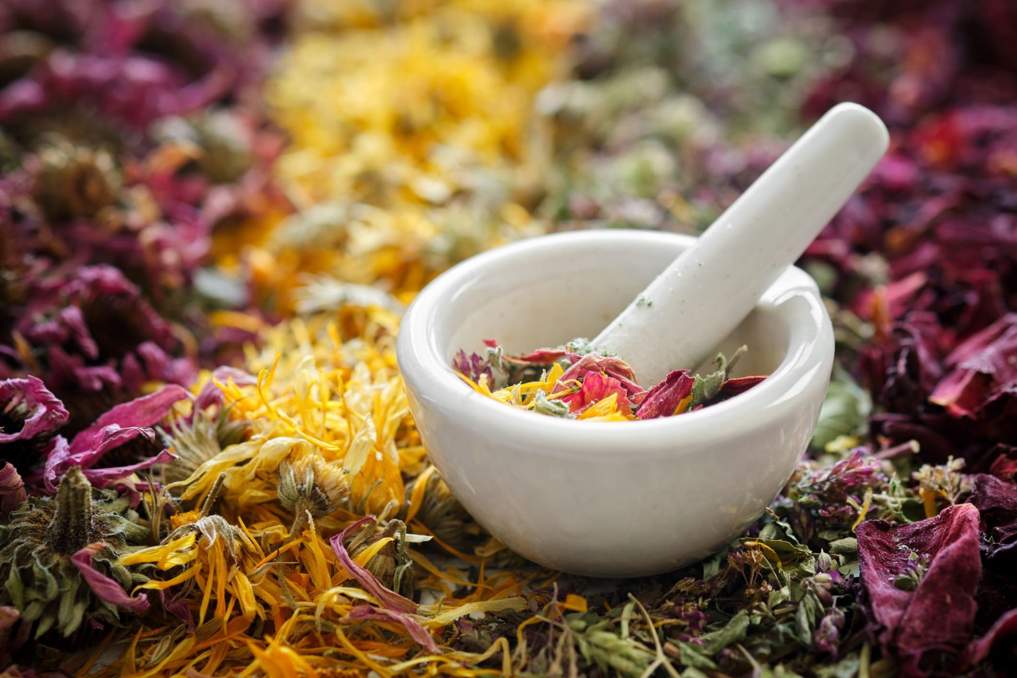 Acupuncture Chattanooga - Relief by Experienced Acupuncturists